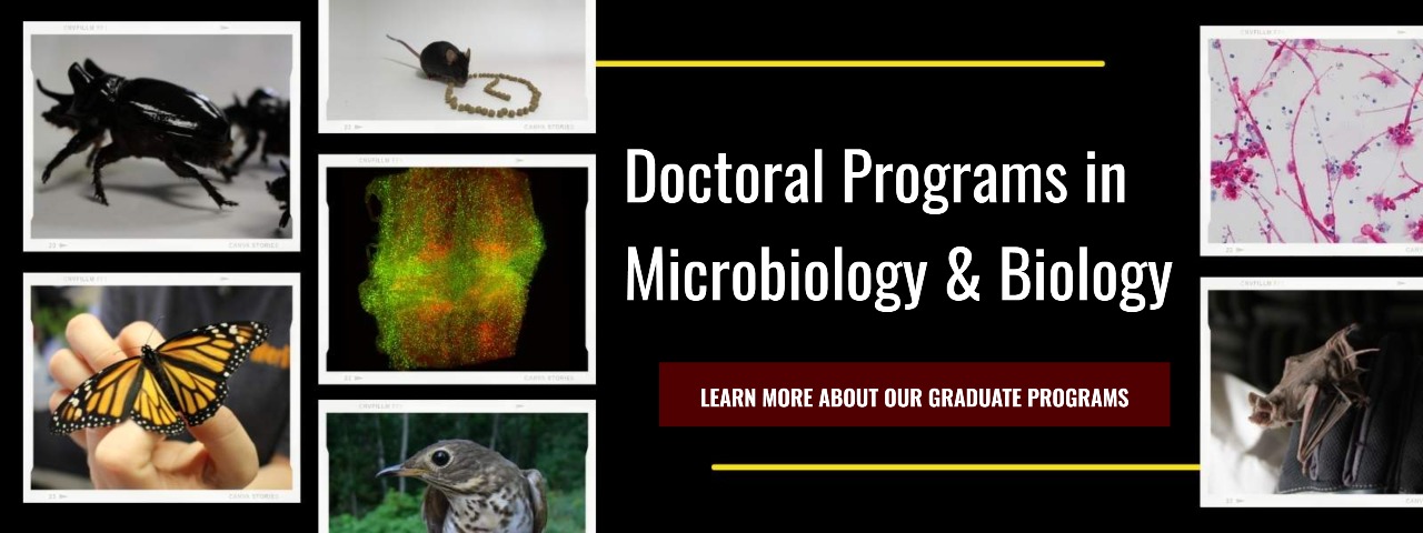 Texas Aandm Biology