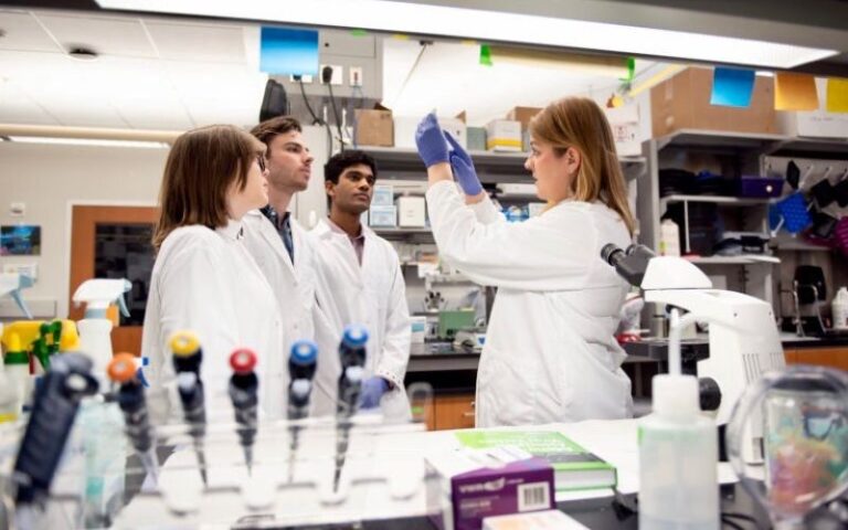 Rewiring Hope: Dr. Jennifer Dulin’s Research Brings New Possibilities for Spinal Cord Injury ...